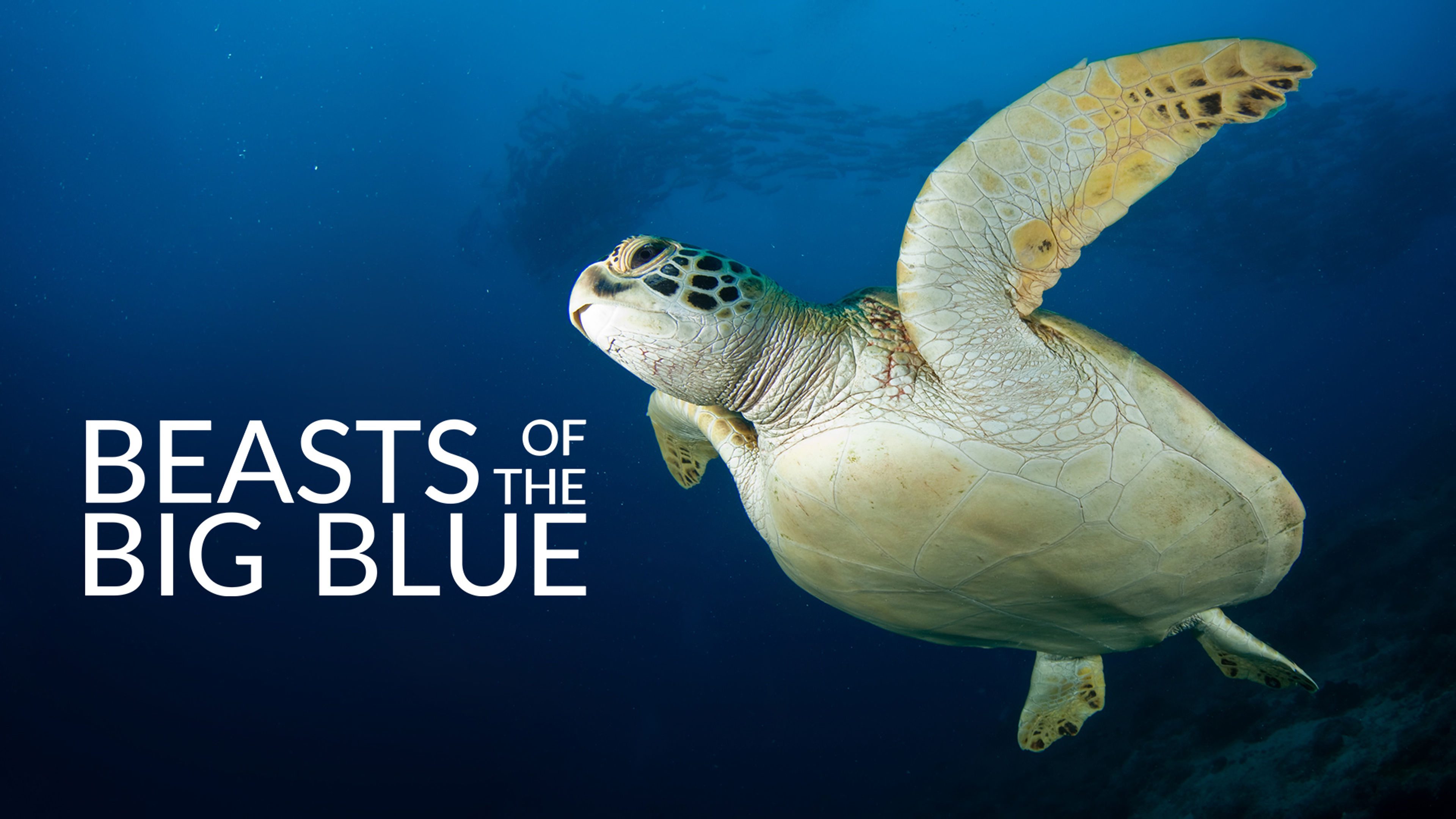 Beasts of the Big Blue S1