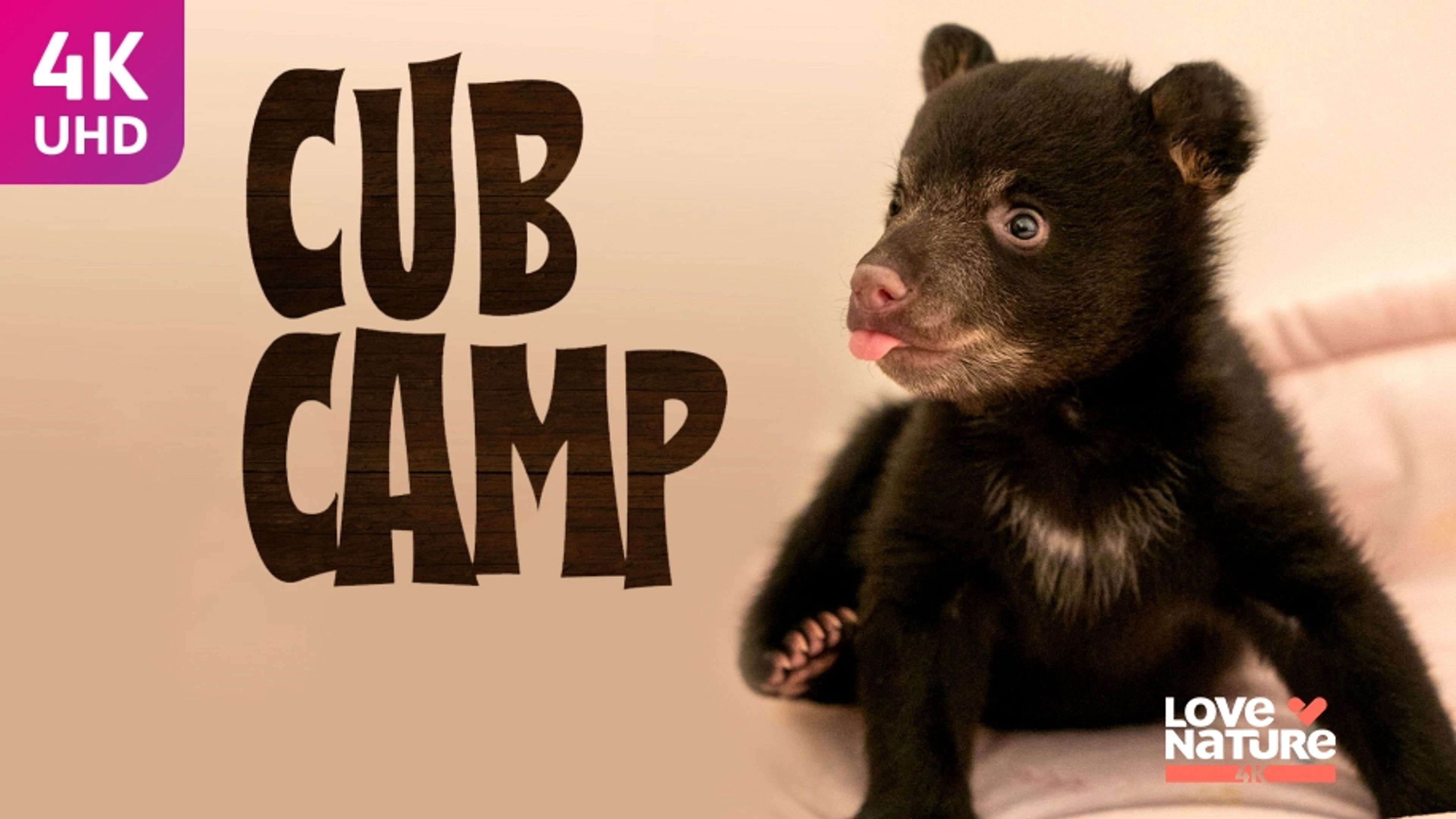 Content Guide | Astro