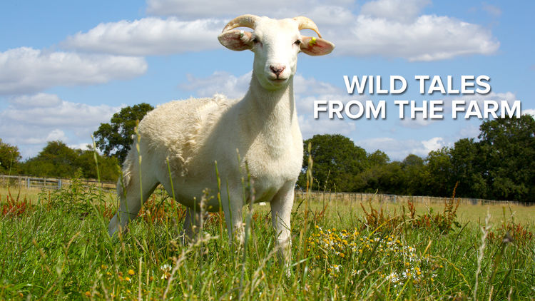 Wild Tales From the Farm S1 | Watch On TV